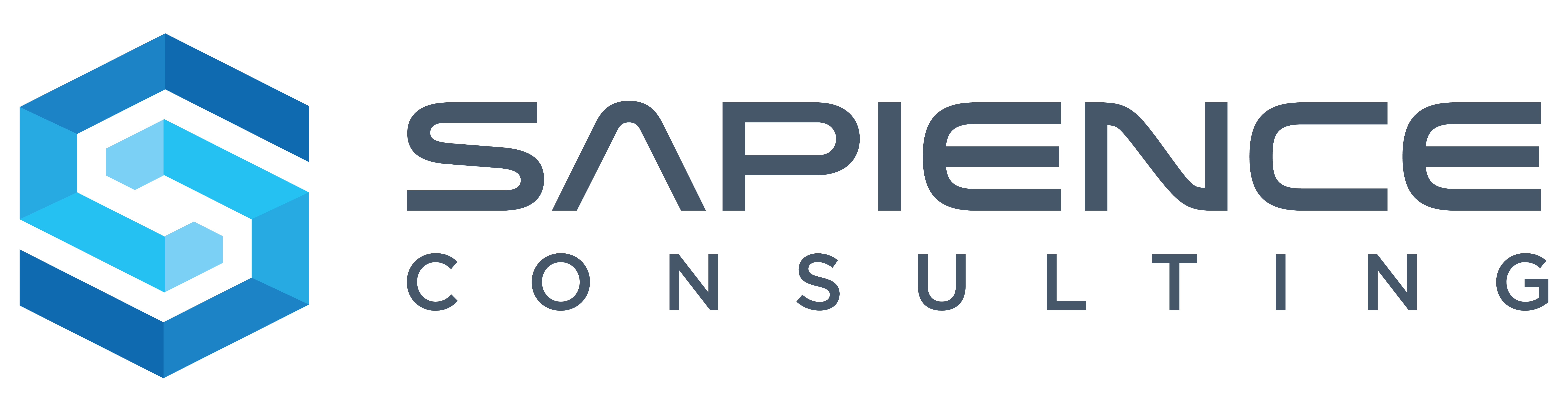 DevSecOps Consulting | IT Staffing | Sapience Consulting LLC